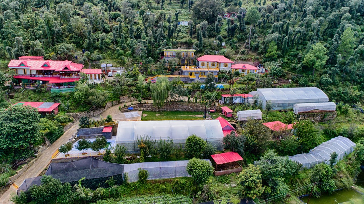 From Farm to Your Home: The Journey of Our Himachali Products – mountkarol